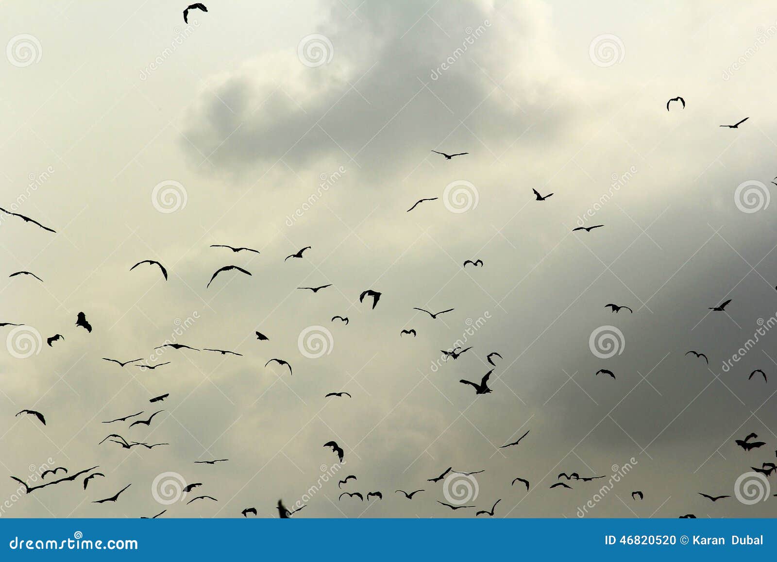 Groupism Stock Photos - Free & Royalty-Free Stock Photos from Dreamstime