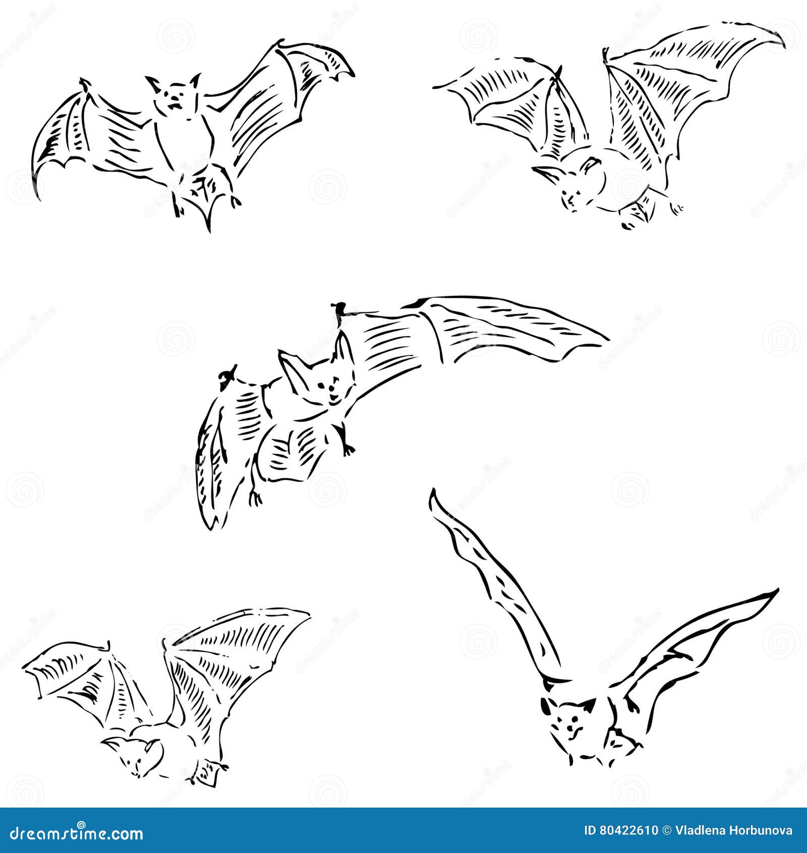 Bats in Different Positions. Pencil Sketch by Hand Stock Vector ...