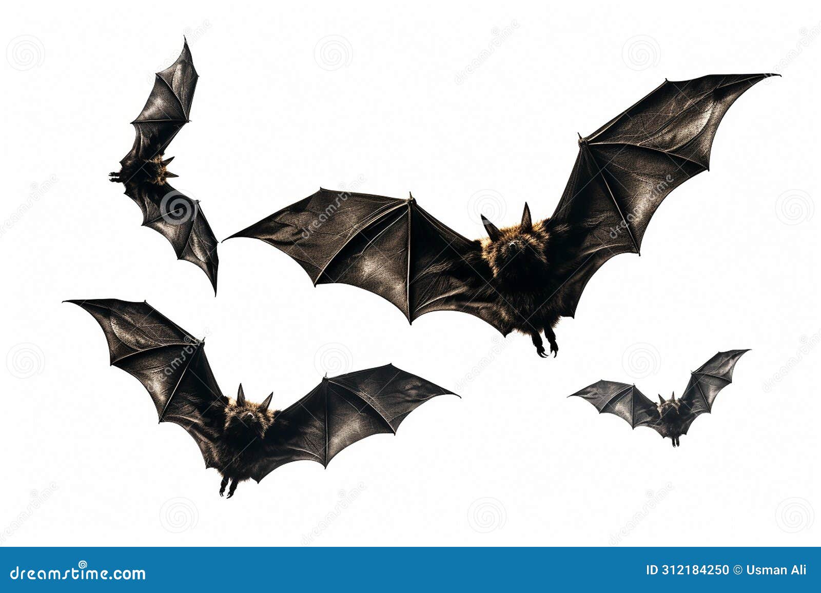 Bats in Flight, Isolated on Transparent Background. AI Stock ...