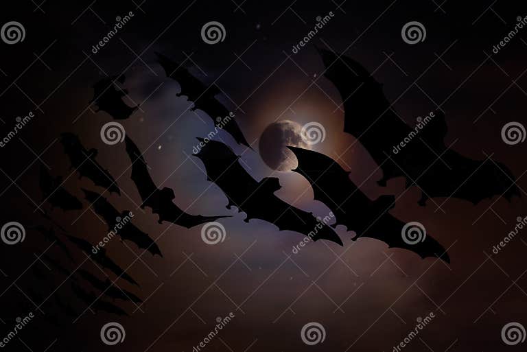 Bats Flying in the Moonlight Stock Photo - Image of stars, night: 61926180