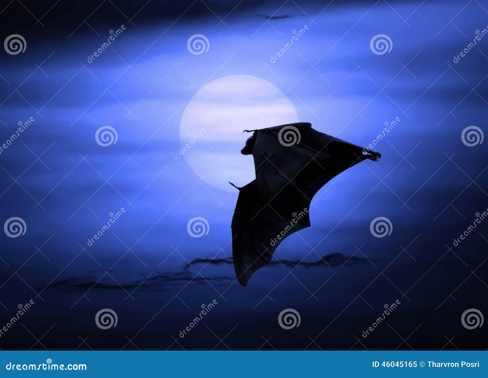 Bats flying at night stock image. Image of flock, night - 46045165