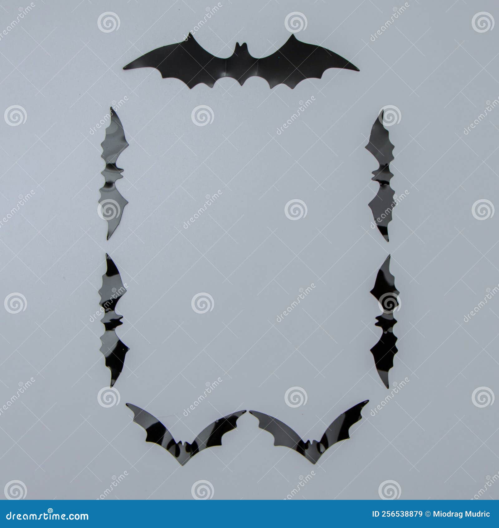 Bats Lined Up in a Rectangle on a White Background with Copy Space ...