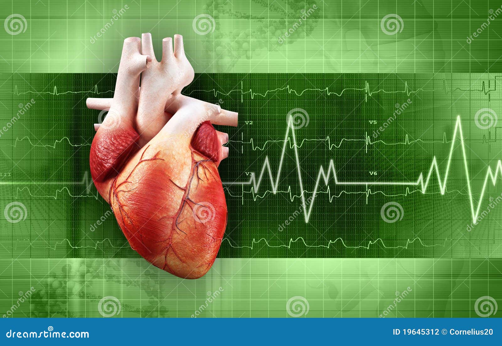 Battement de coeur illustration stock. Illustration du heartbeat - 19645312