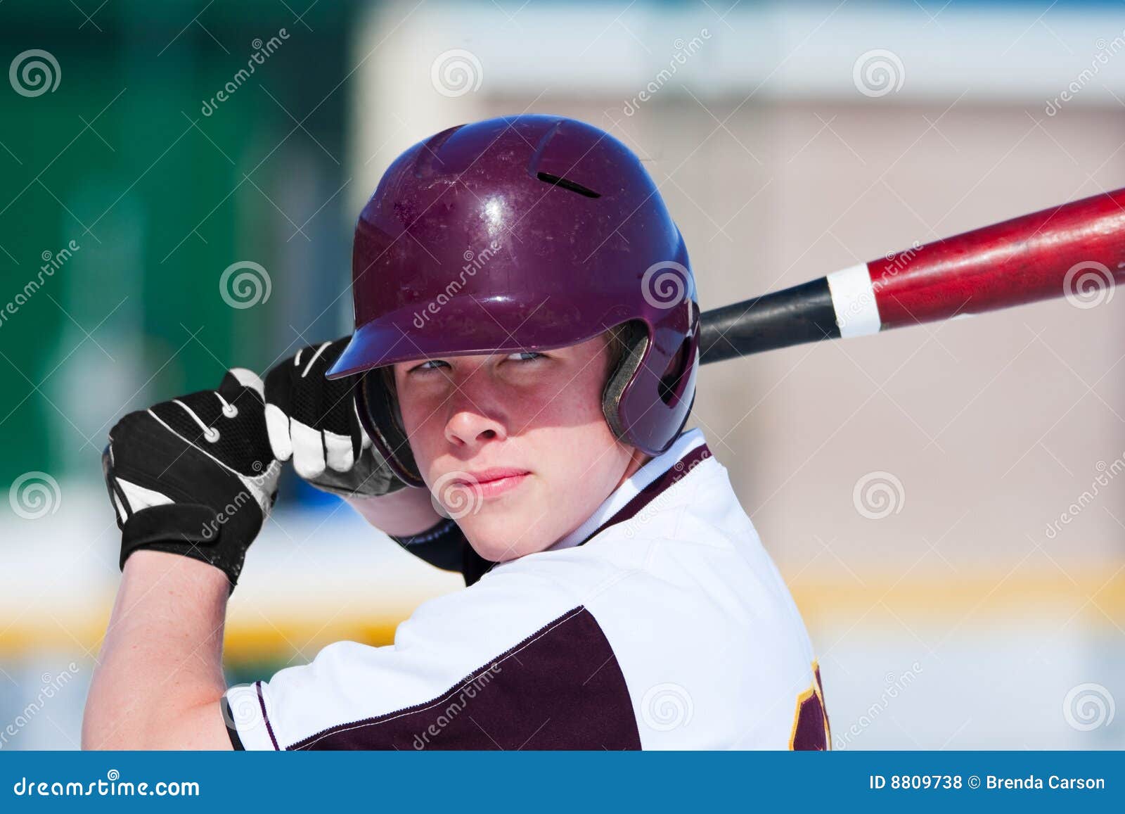 Batter Up stock photo. Image of baseball, player, ready - 8809738