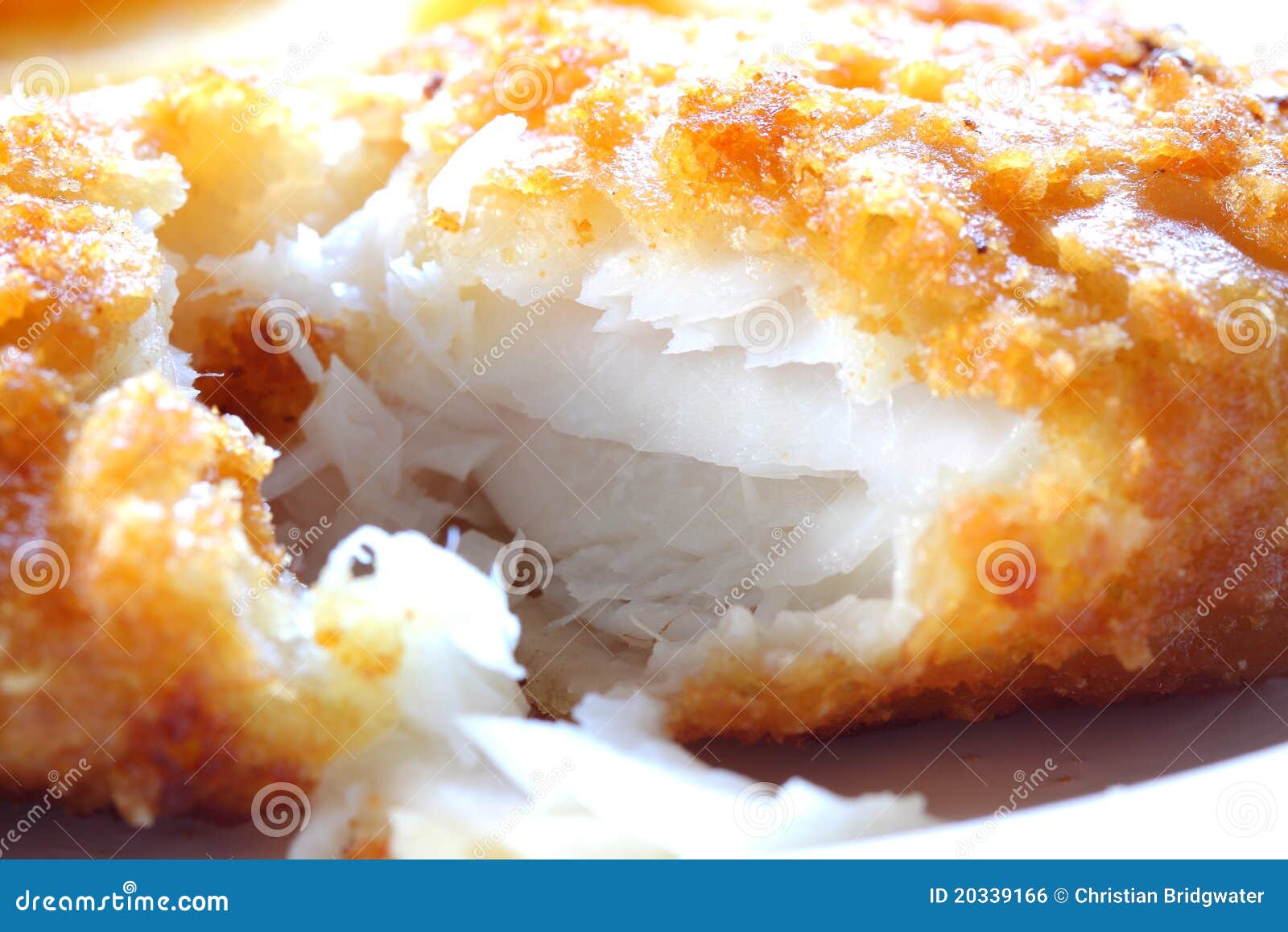 Battered fish stock photo. Image of tradition, taste - 20339166