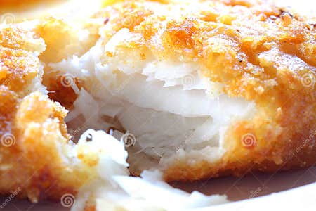 Battered fish stock photo. Image of tradition, taste - 20339166