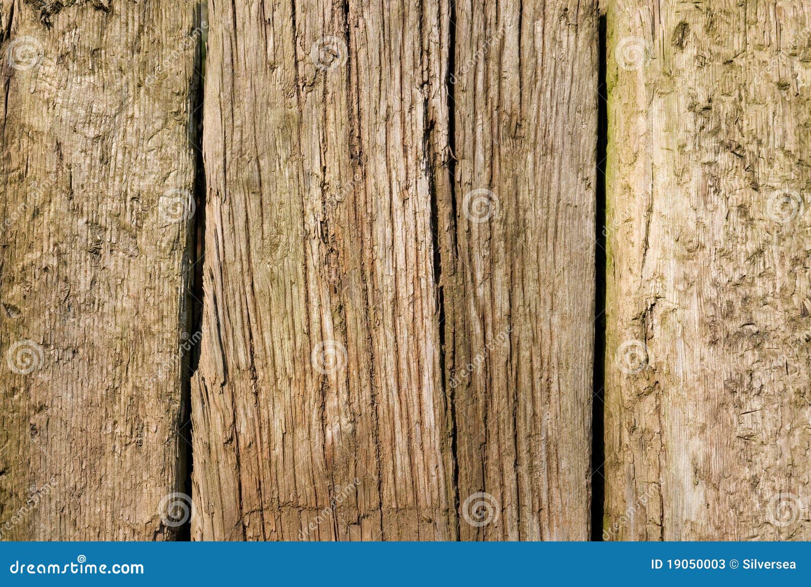 Battered old boards stock image. Image of chipped, boards - 19050003