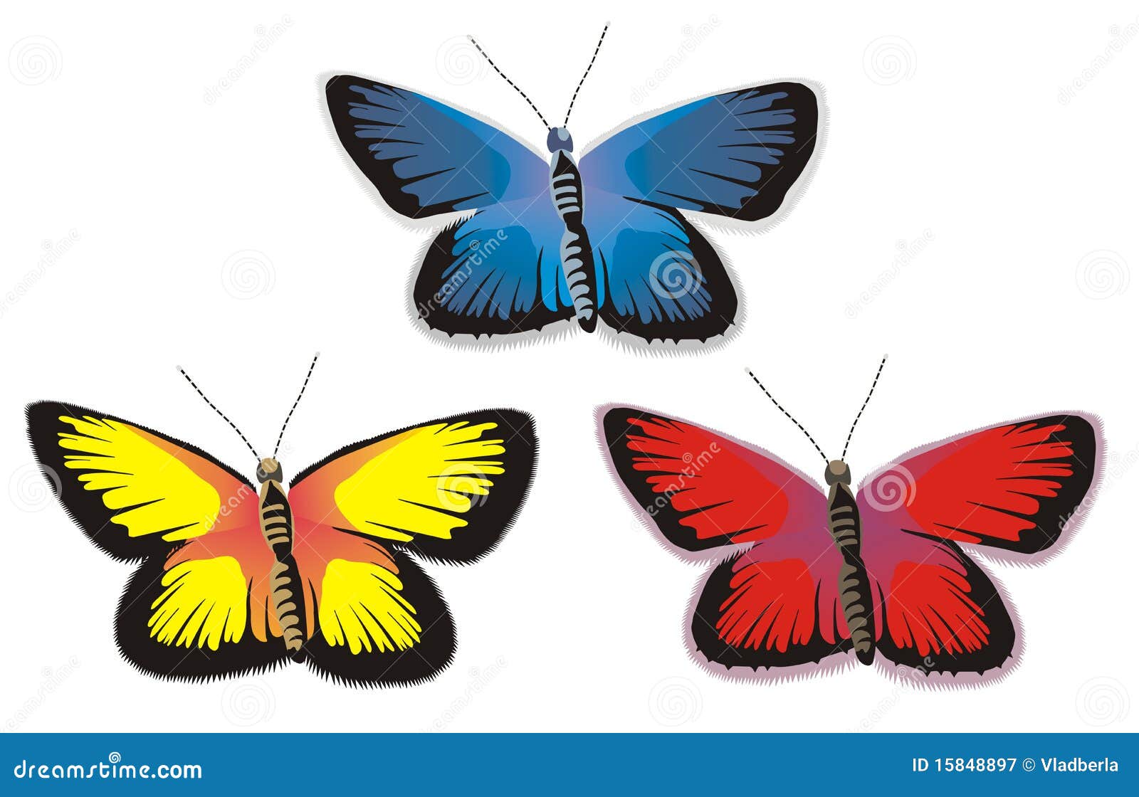 Batterfly in colors stock vector. Illustration of flora - 15848897