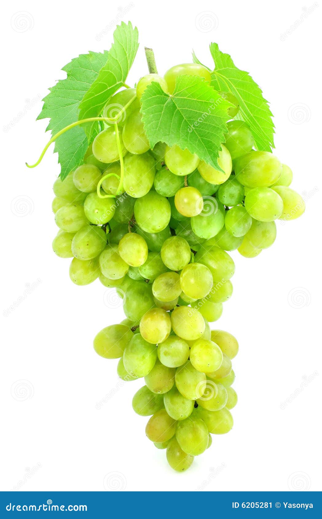 Batterie De Raisin Vert D'isolement Sur Le Blanc Image stock - Image du ...