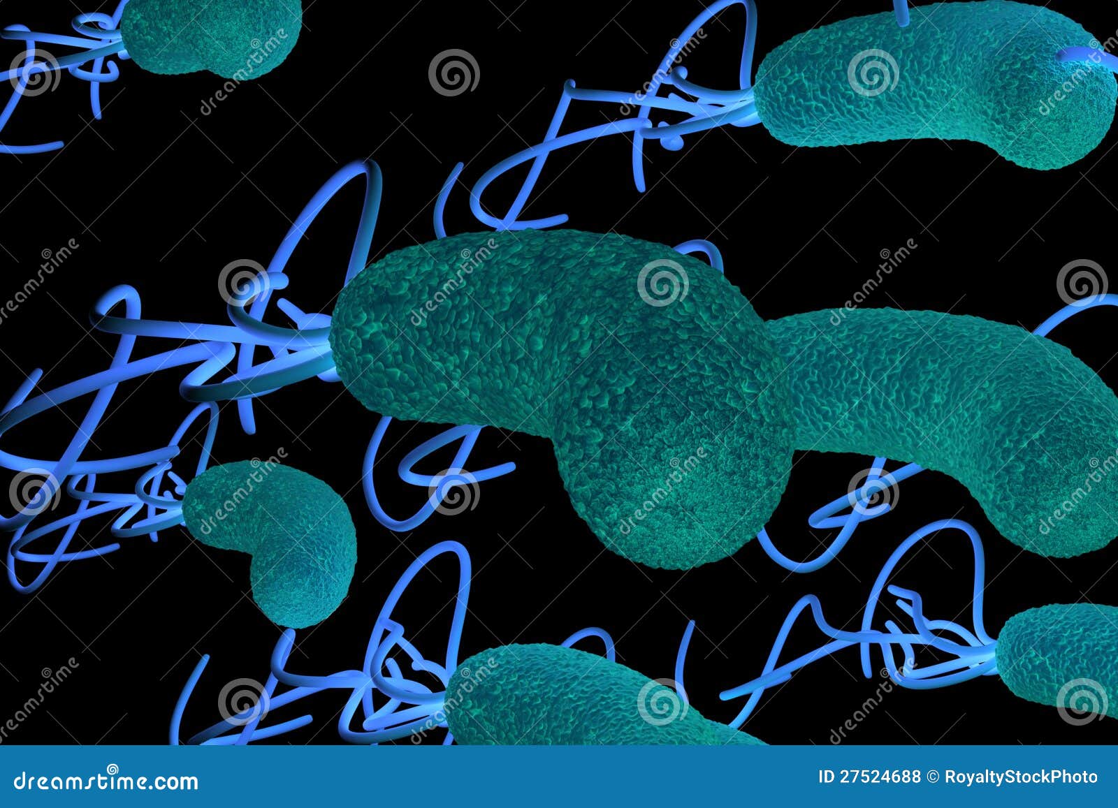 Batterio Dei Pilori Di Helicobacter Illustrazione di Stock ...