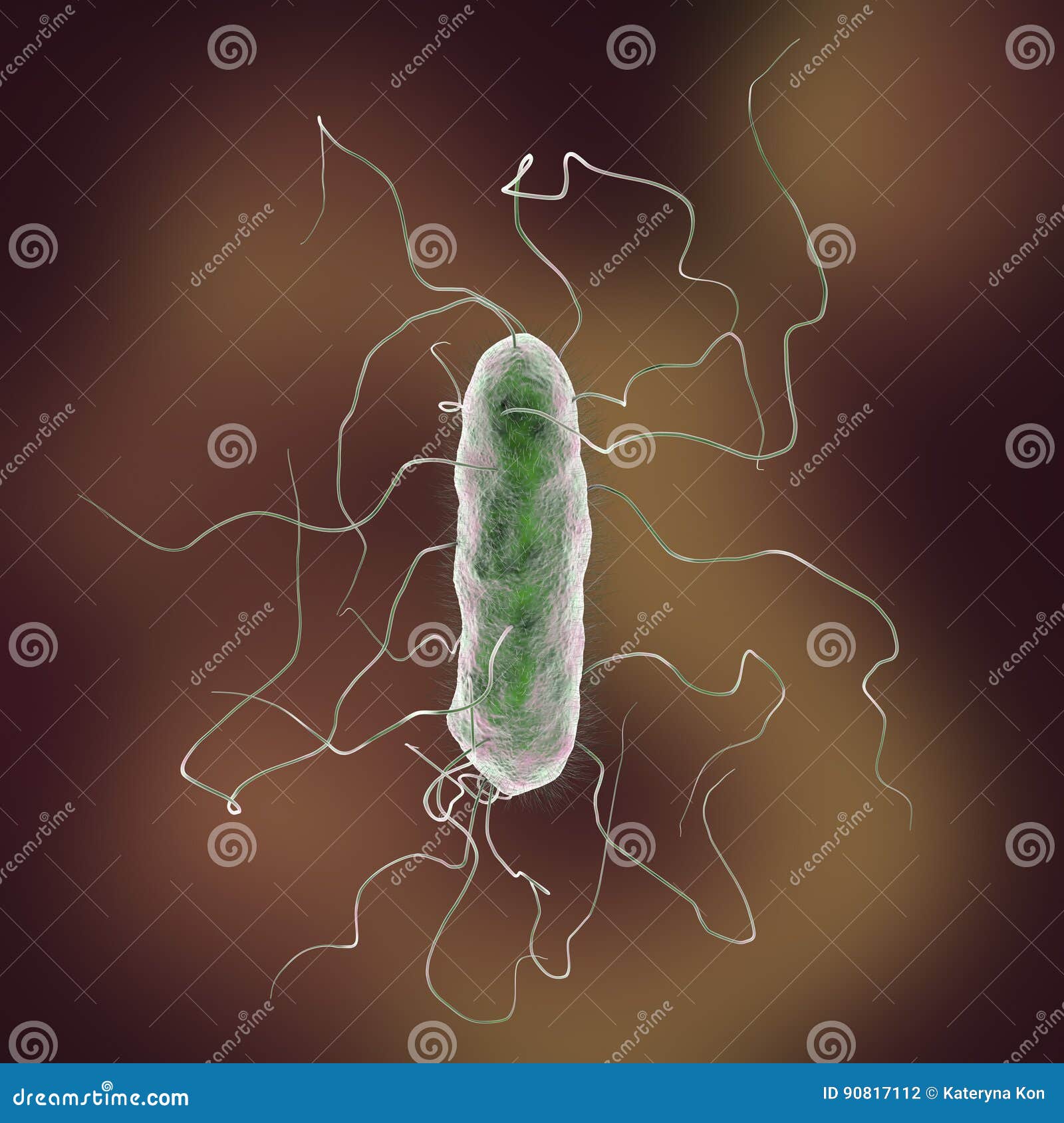 Batterio Di Proteus Mirabilis Illustrazione di Stock - Illustrazione di ...