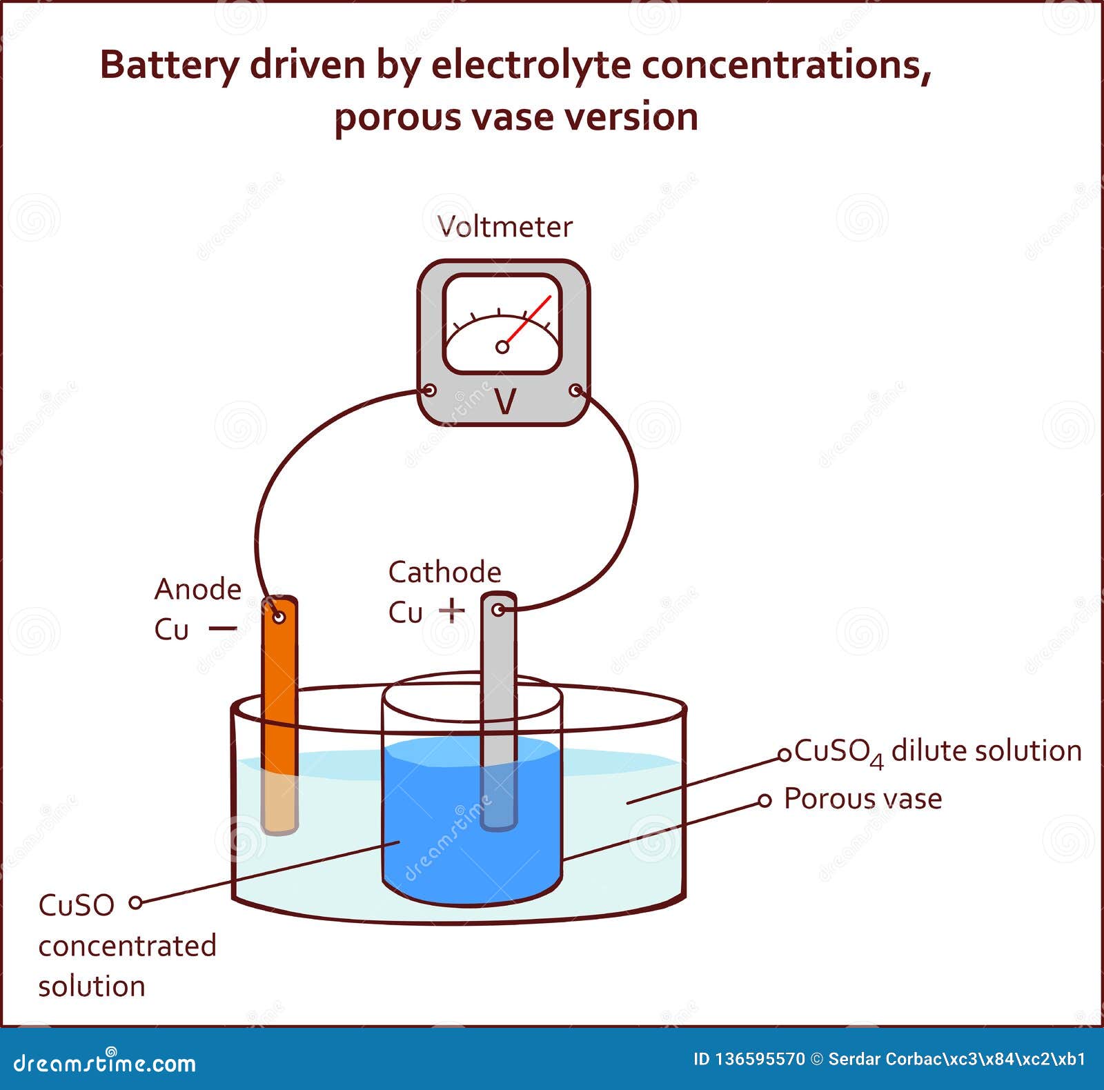 Battery Driven by Electrolyte Concentrations Porous Vase Version Stock ...