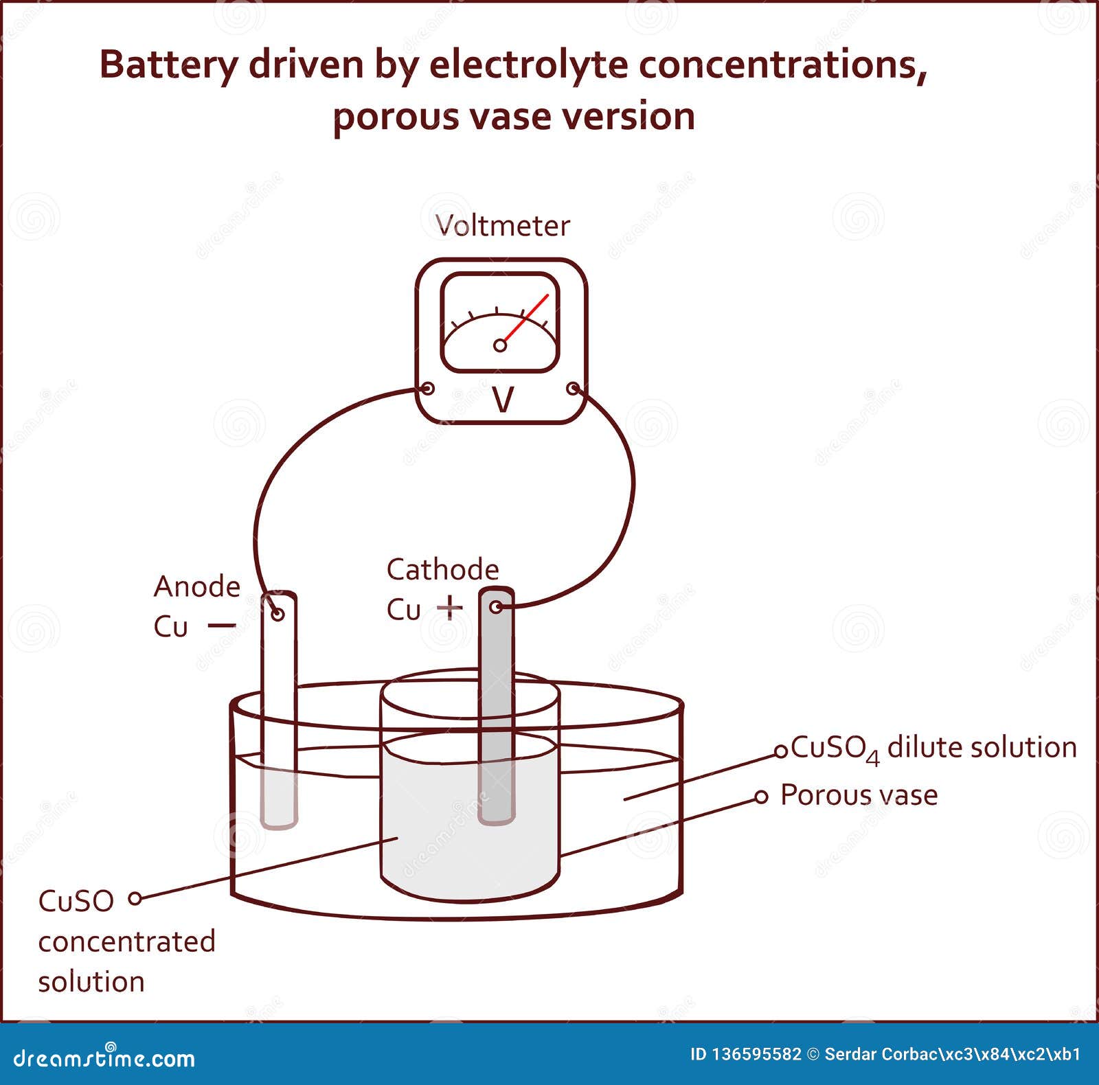 Battery Driven by Electrolyte Concentrations Porous Vase Version Stock ...