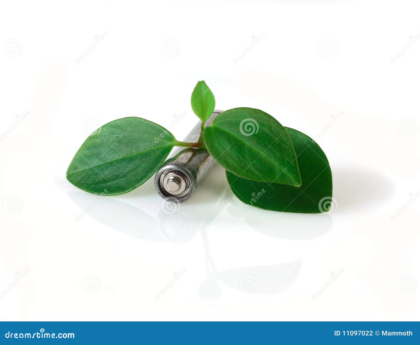 Battery and green leaves stock photo. Image of battery - 11097022
