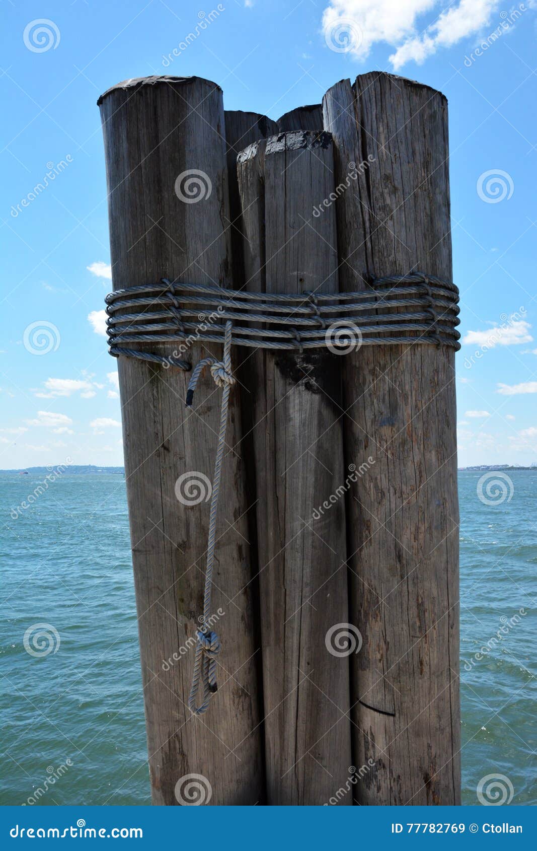 Royalty Free Images, Cartoons, Illustrations And Photos Designed By ...