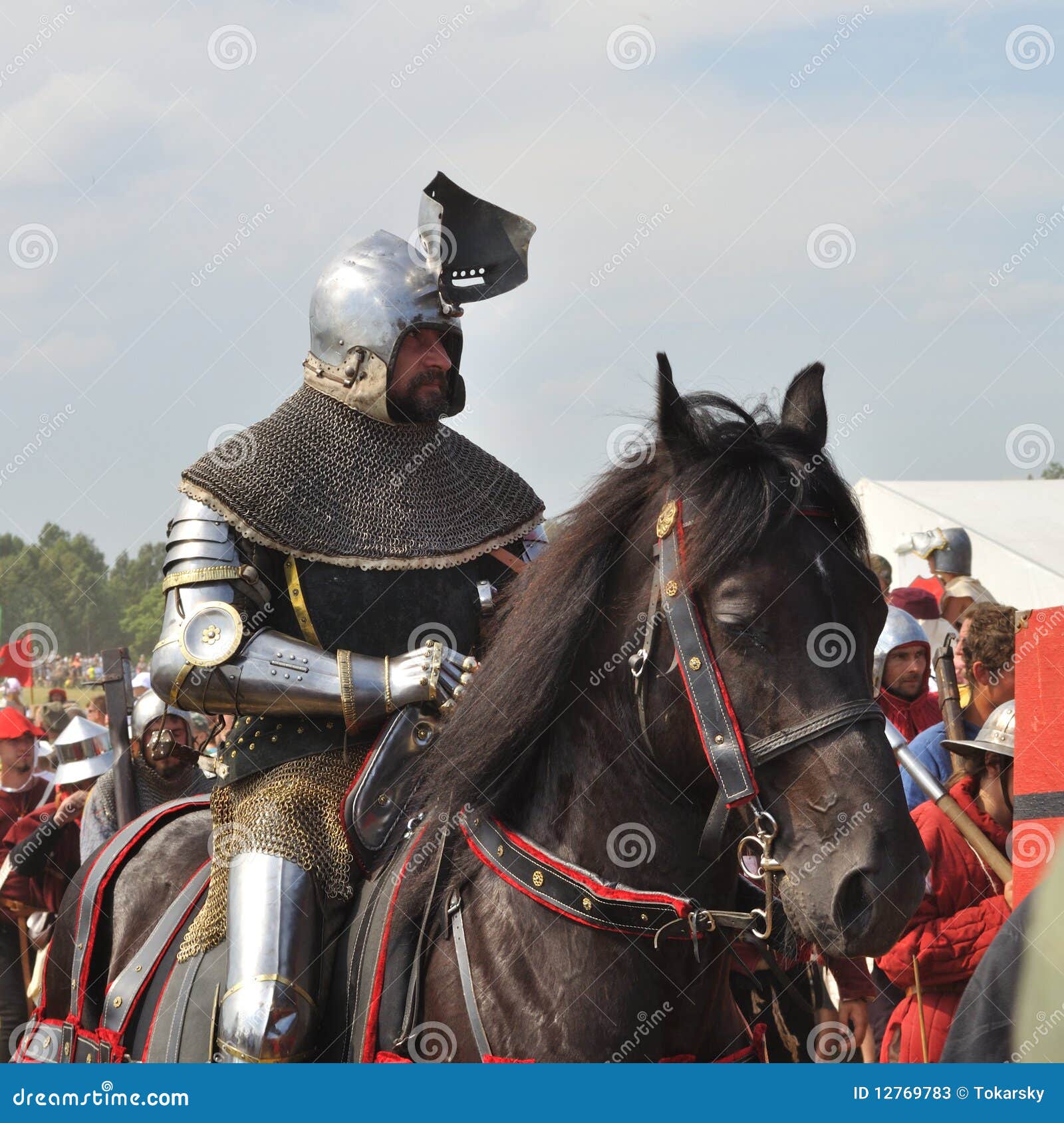 Battle of Grunwald editorial stock photo. Image of polish - 12769783