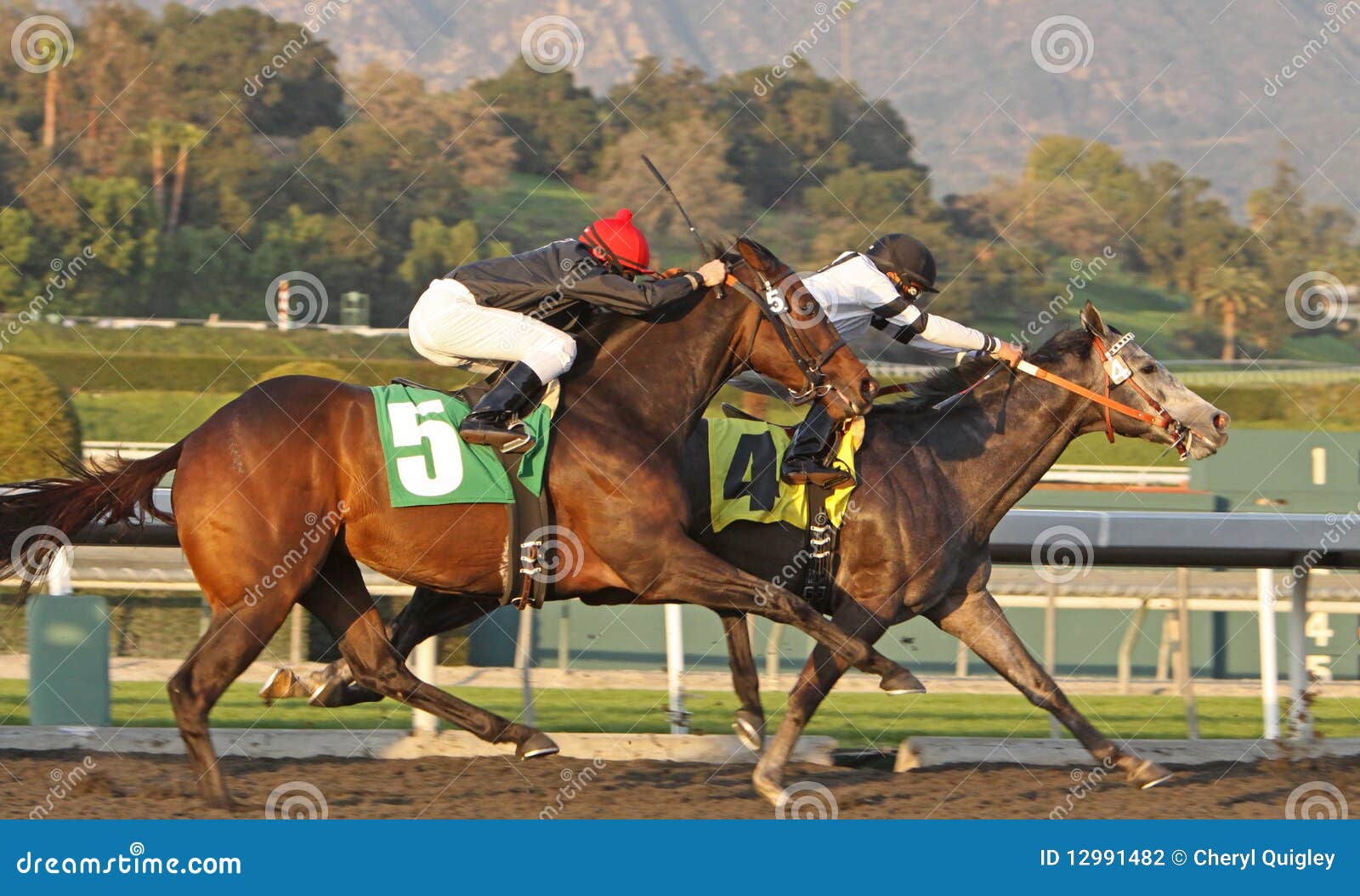 Battling Down the Homestretch Editorial Photography - Image of quick ...