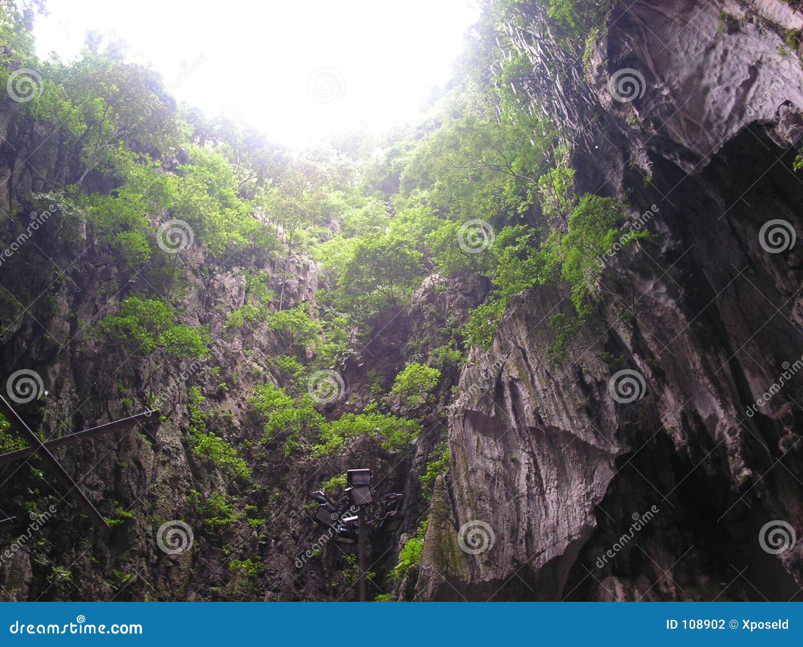 Bat Cavity Stock Photos - Free & Royalty-Free Stock Photos from Dreamstime