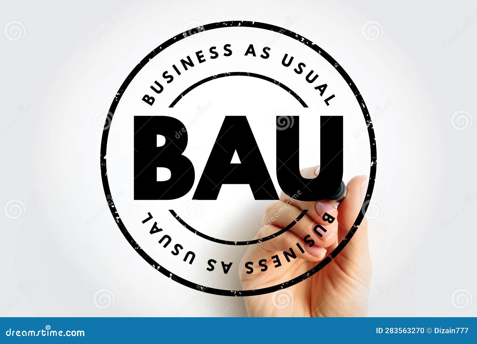 BAU Business As Usual - Normal Execution of Standard Functional ...