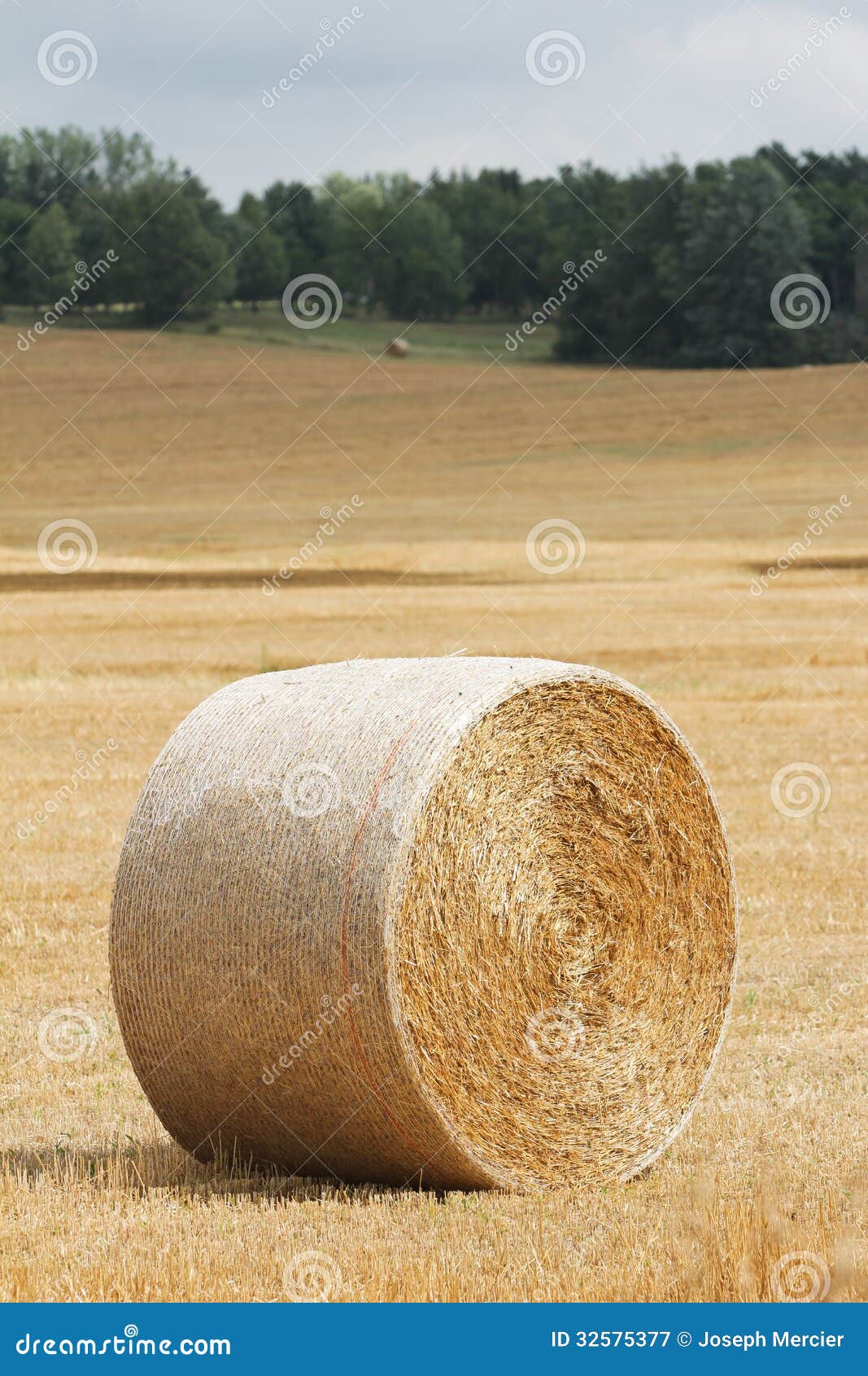 Bauernhof Hay Harvest stockbild. Bild von getreide, land - 32575377