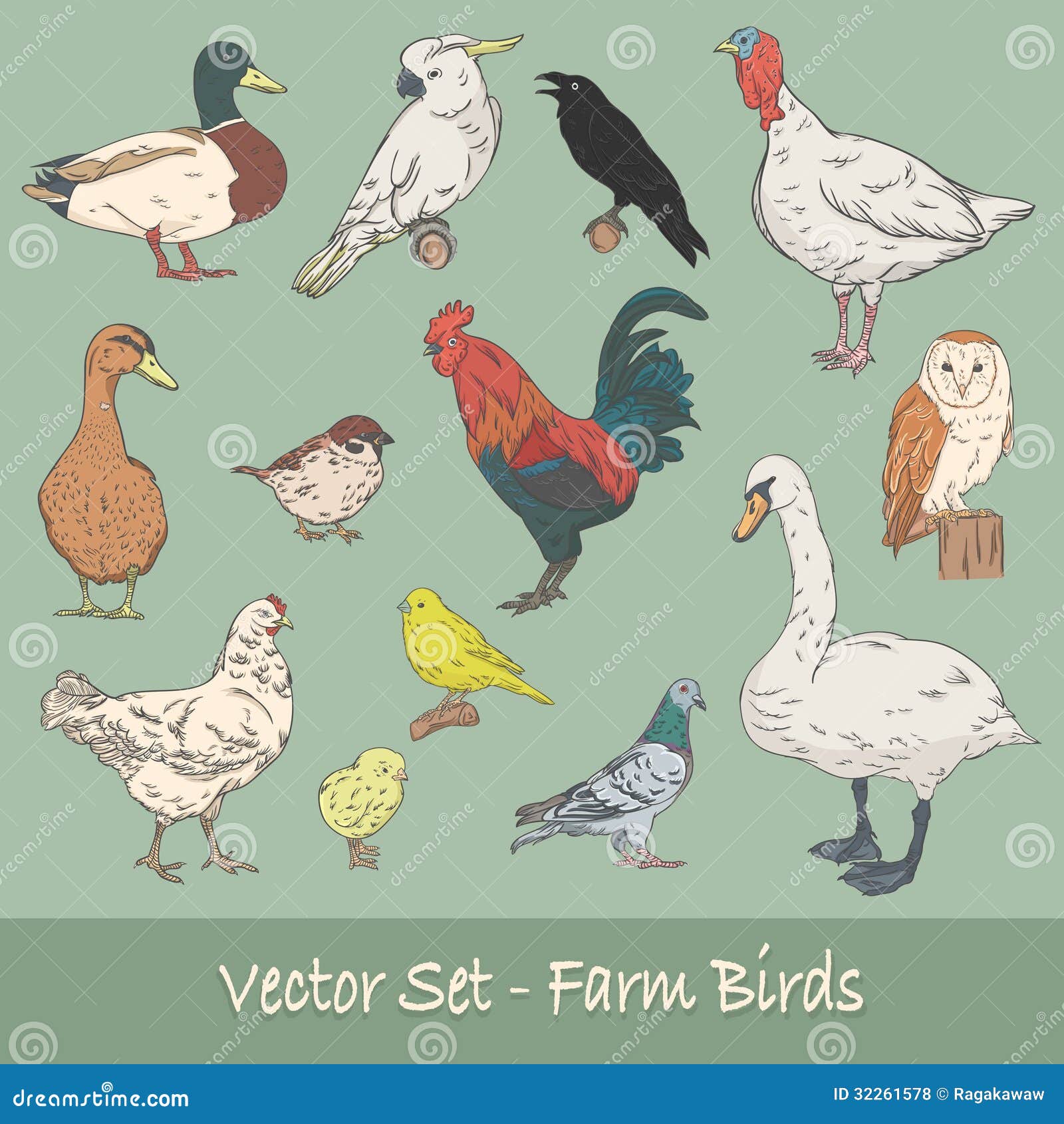 Bauernhof-Vogel-Vektor-Satz Vektor Abbildung - Illustration von land ...