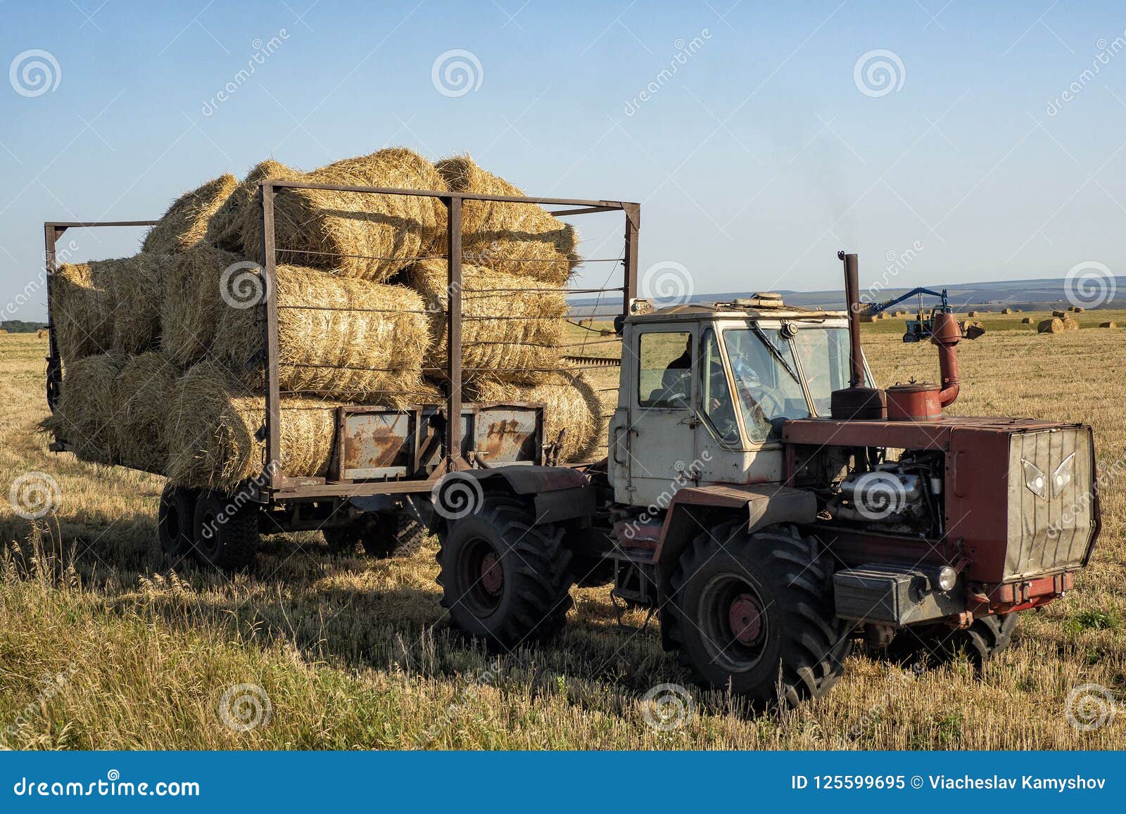 Bauernhofarbeit Im Herbst Auf Dem Feld Stockbild - Bild von landwirt ...