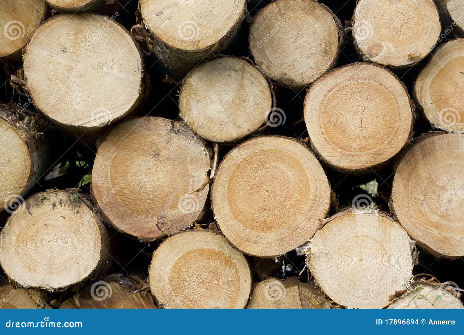 Bauholz stockfoto. Bild von material, frech, aufbau, gekörnt - 17896894