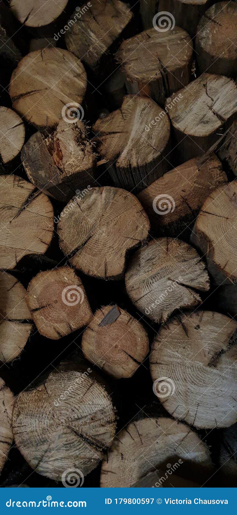 Baulk stock image. Image of nature, food, trunk, background - 179800597