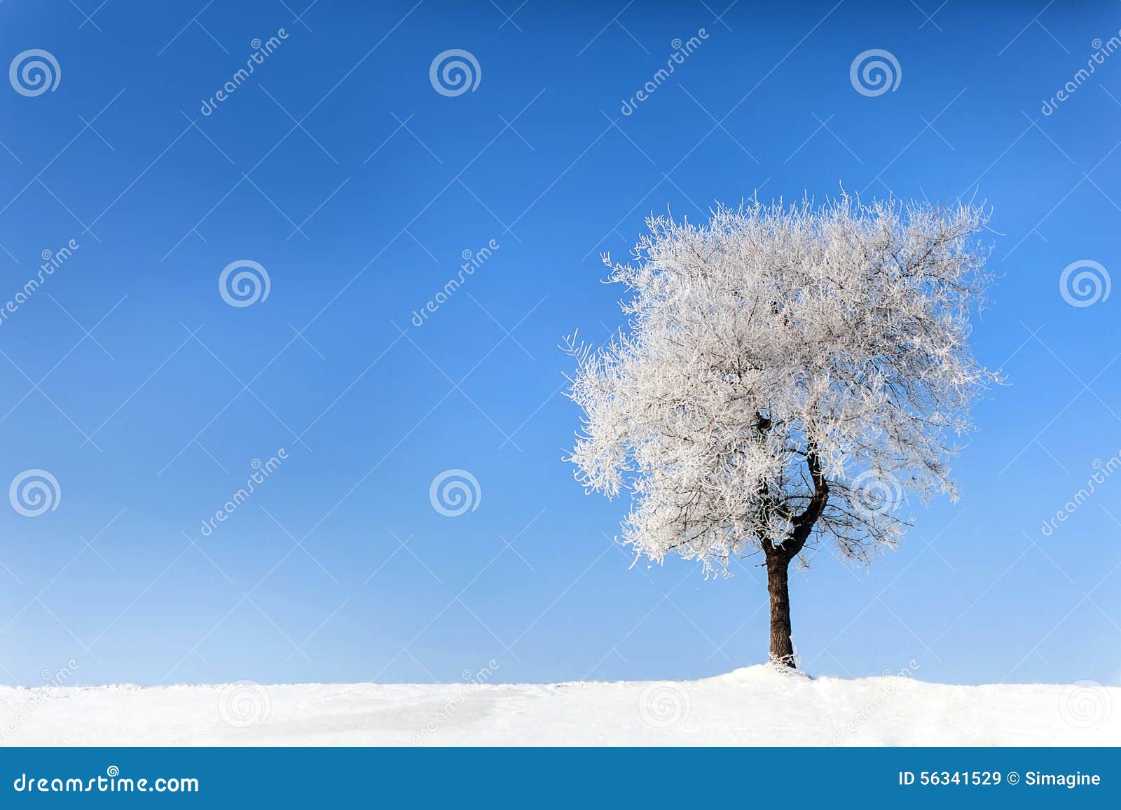 Baum im Winter 4 stockbild. Bild von land, tapete, holz - 56341529