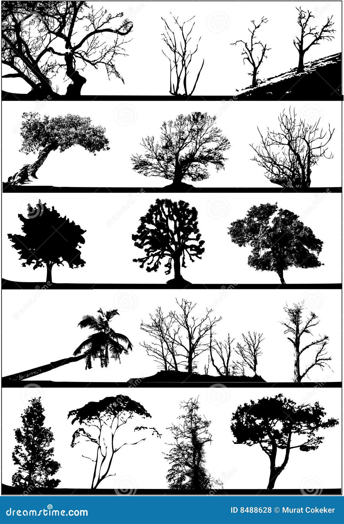 Baumschattenbilder Eingestellt Vektor Abbildung - Illustration von ...