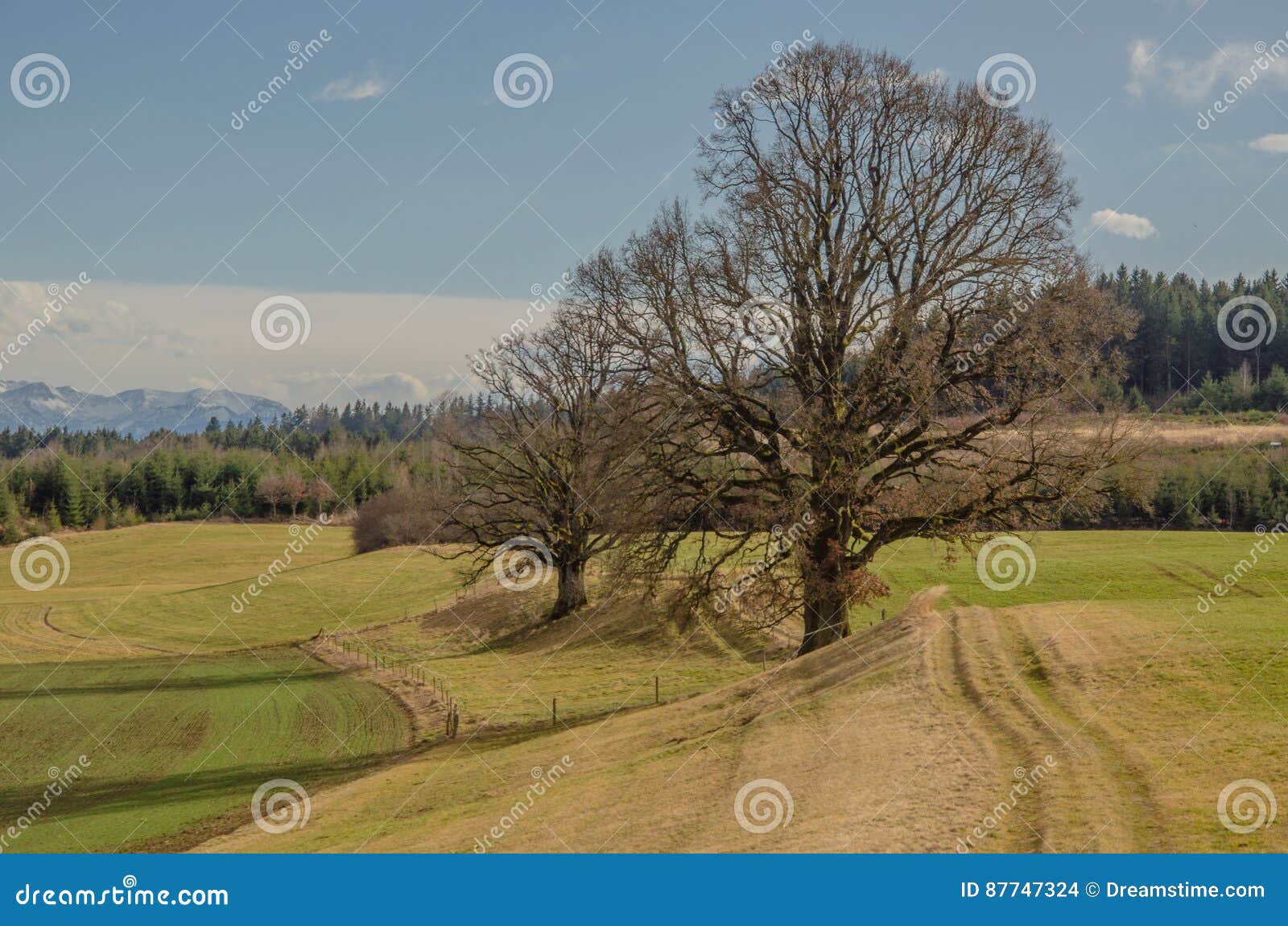 Bavaria stock photo. Image of landscape, bavaria, season - 87747324