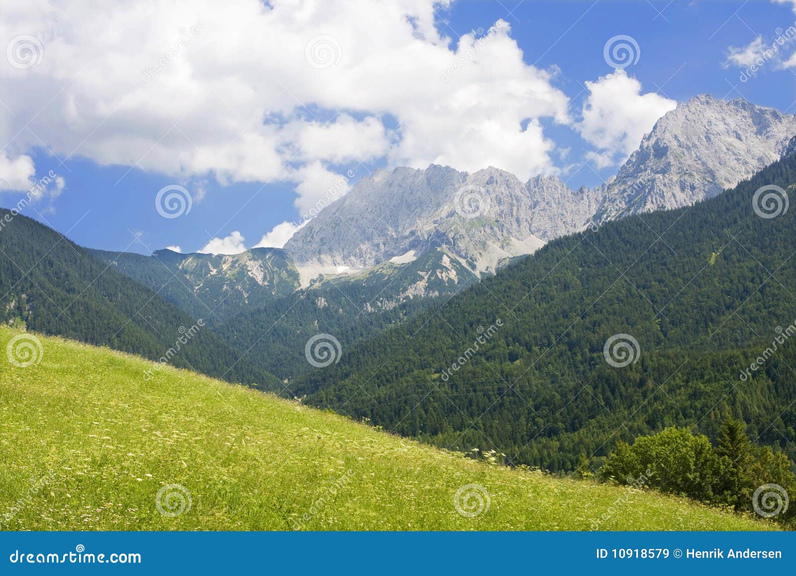 Bavarian alps stock image. Image of background, meadow - 10918579