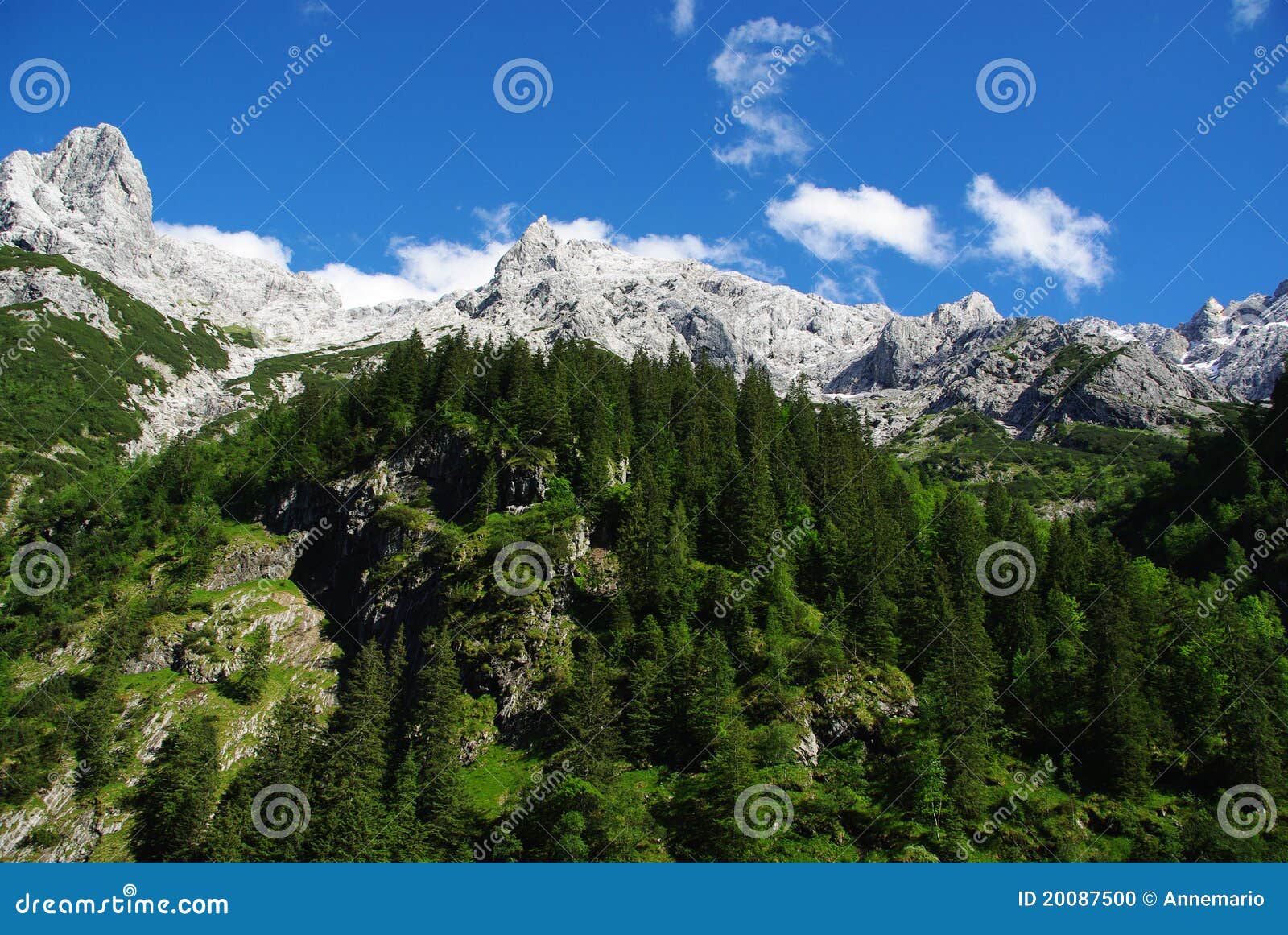 Bavarian Alps stock photo. Image of climbing, green, cliffs - 20087500