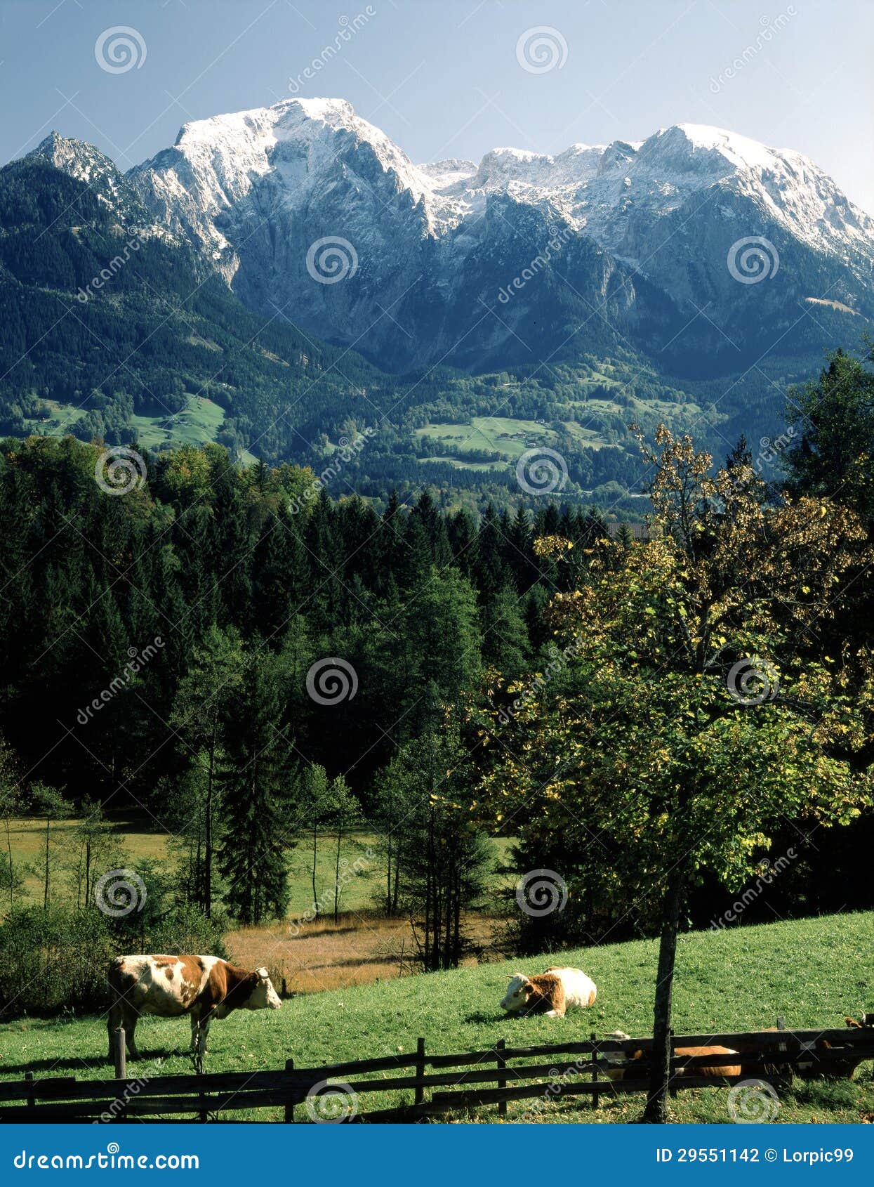 Bavarian Alps stock photo. Image of landscape, europe - 29551142