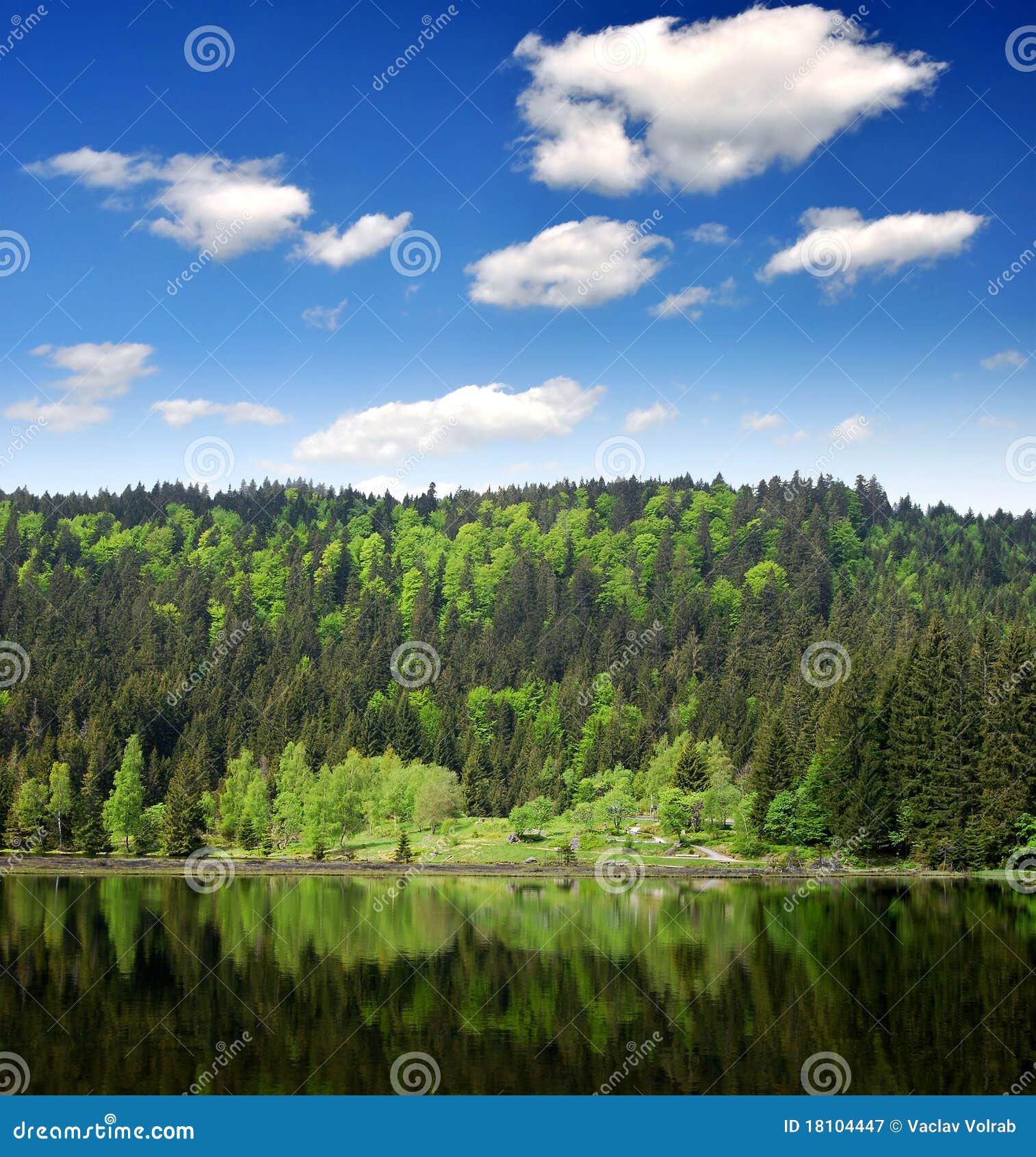 Bavarian Forest - Germany stock image. Image of scene - 18104447