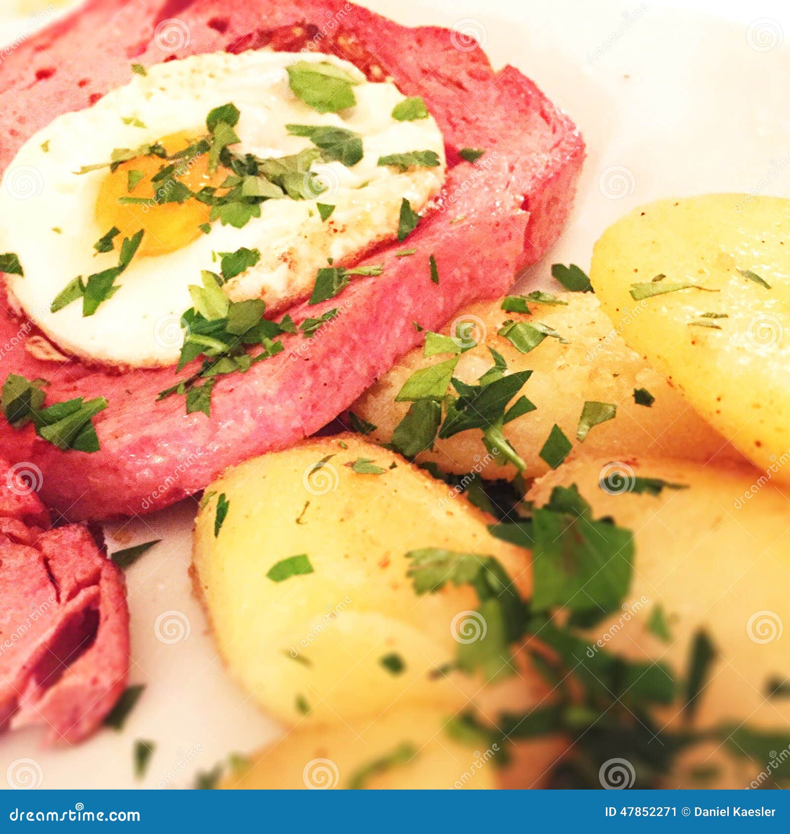 Bavarian meat loaf stock image. Image of delicious, bavarian - 47852271