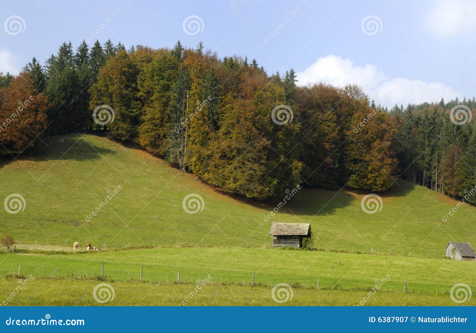 Bavarian rural landscape stock image. Image of europe - 6387907