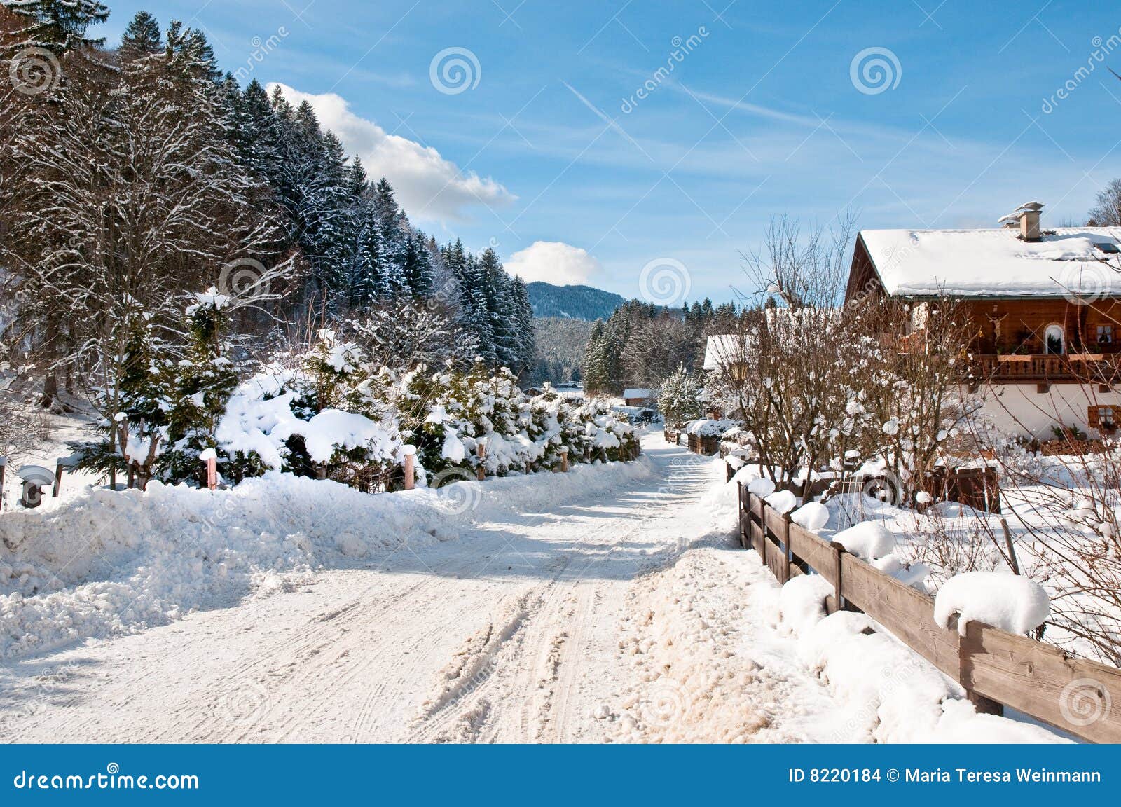 Bavarian winter stock photo. Image of alpine, snow, europe - 8220184