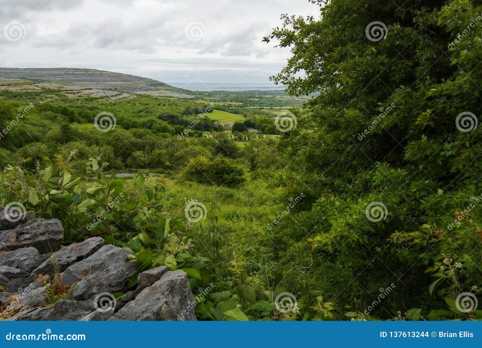 Bay Across the Way stock photo. Image of farmland, nature - 137613244