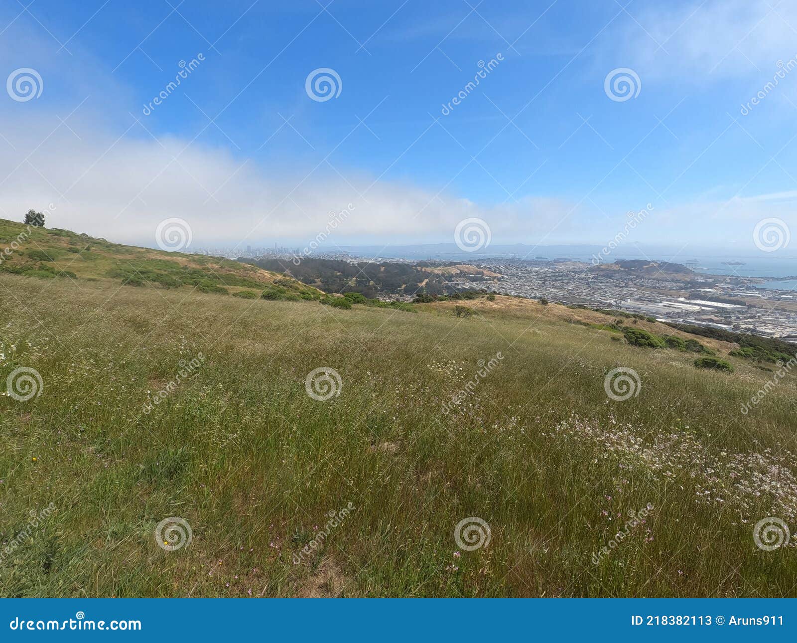 Bay Area from San Bruno Mountain Stock Image - Image of outdoors, bruno ...