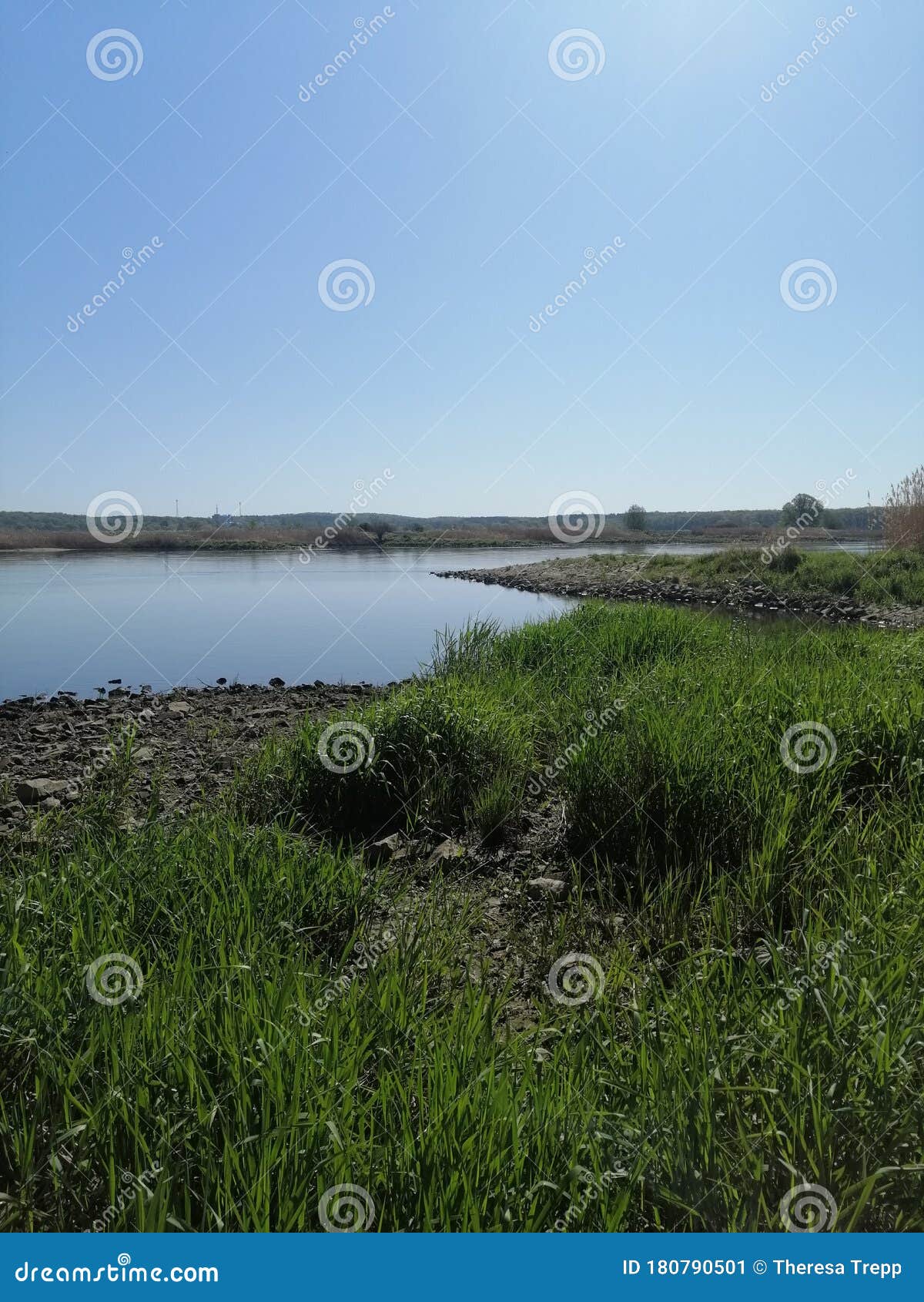 Bay with Grass and Blue Sky Stock Image - Image of water, wetland ...