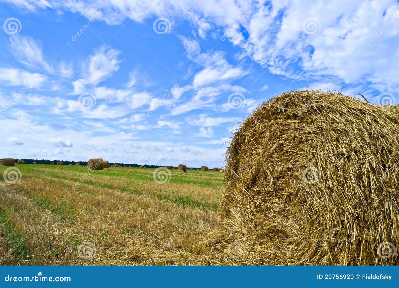 Bay Hale Land stock photo. Image of farming, agriculture - 20756920
