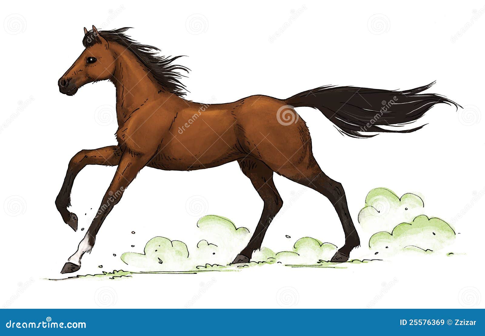 Horse Gallop Side View. Horse Muzzle Side View. Ink Black And White ...