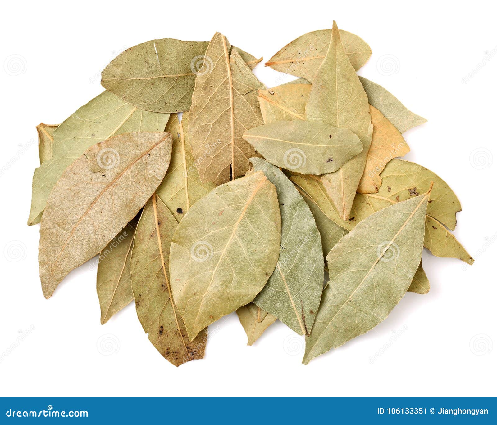 Bay Laurel Leaves stock image. Image of scent, stack - 106133351