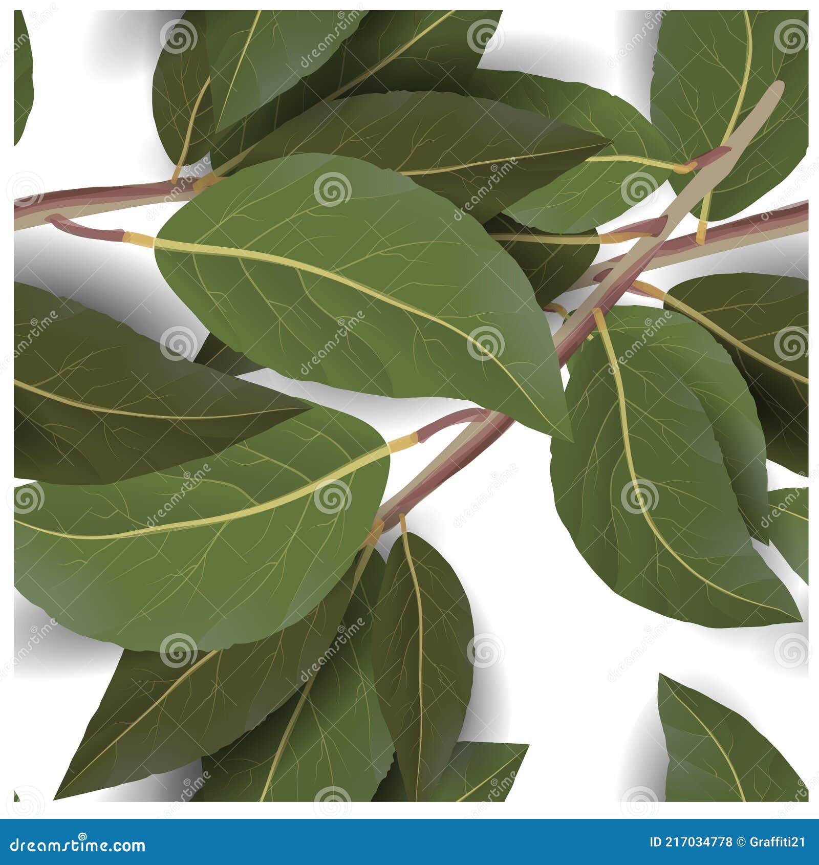 Bay Leaf in Abstract Style. Beautiful Pattern with Bay Leaf. Vector ...