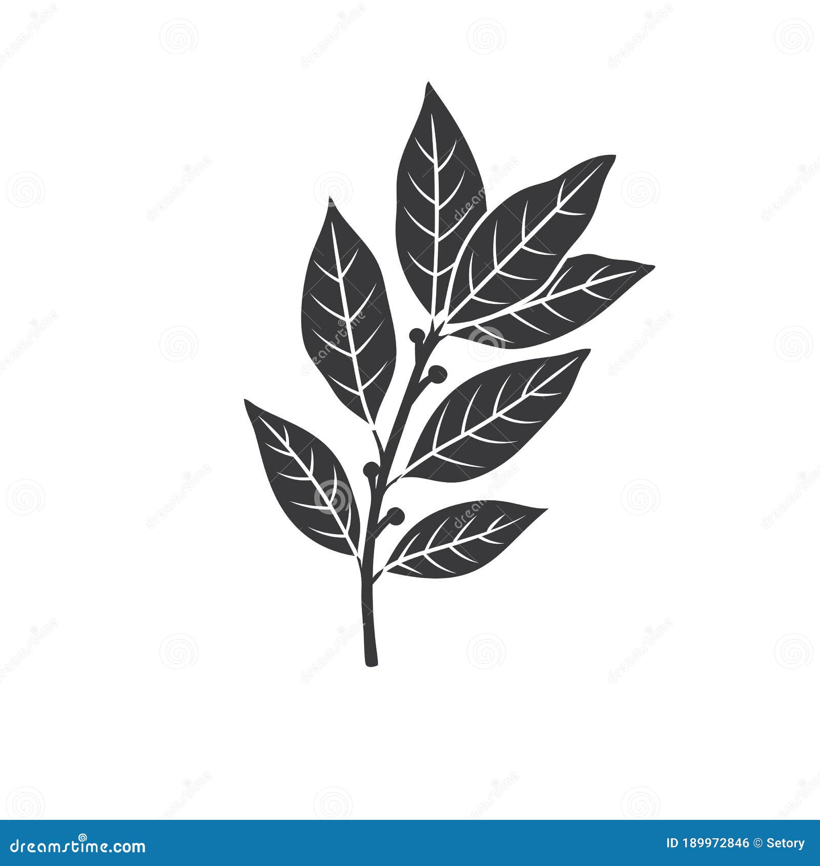 Bay leaf glyph icon stock vector. Illustration of seasoning - 189972846