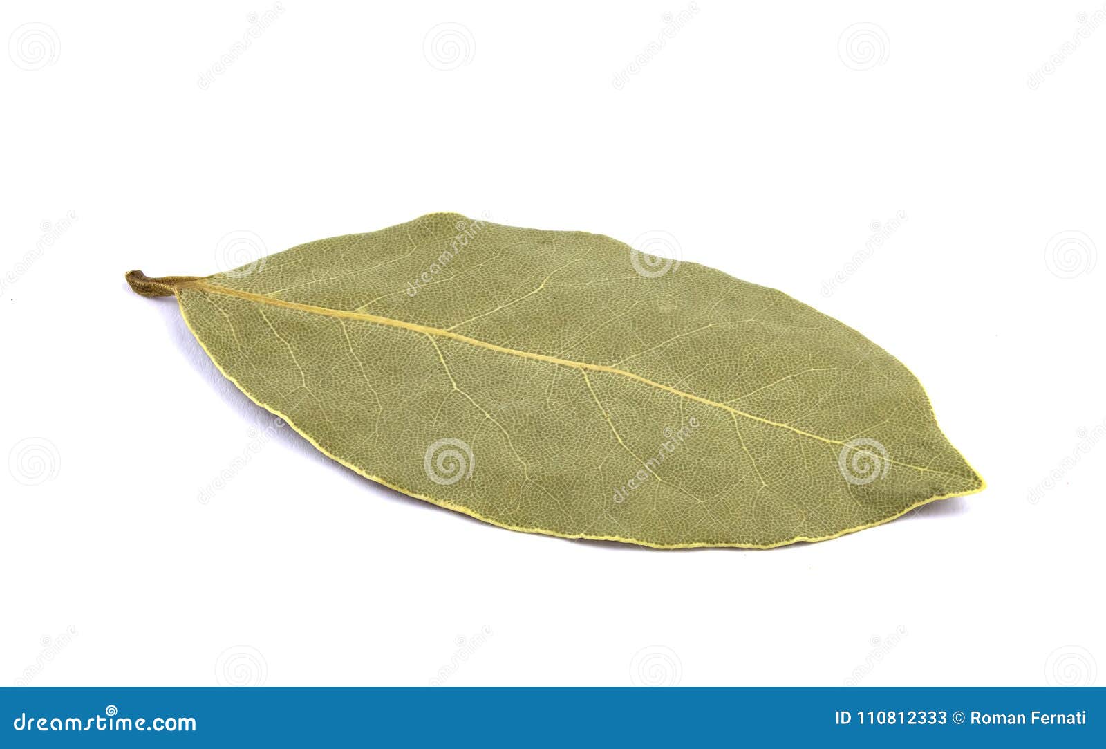 Bay Leaves Isolated on White Background Stock Image - Image of organic ...