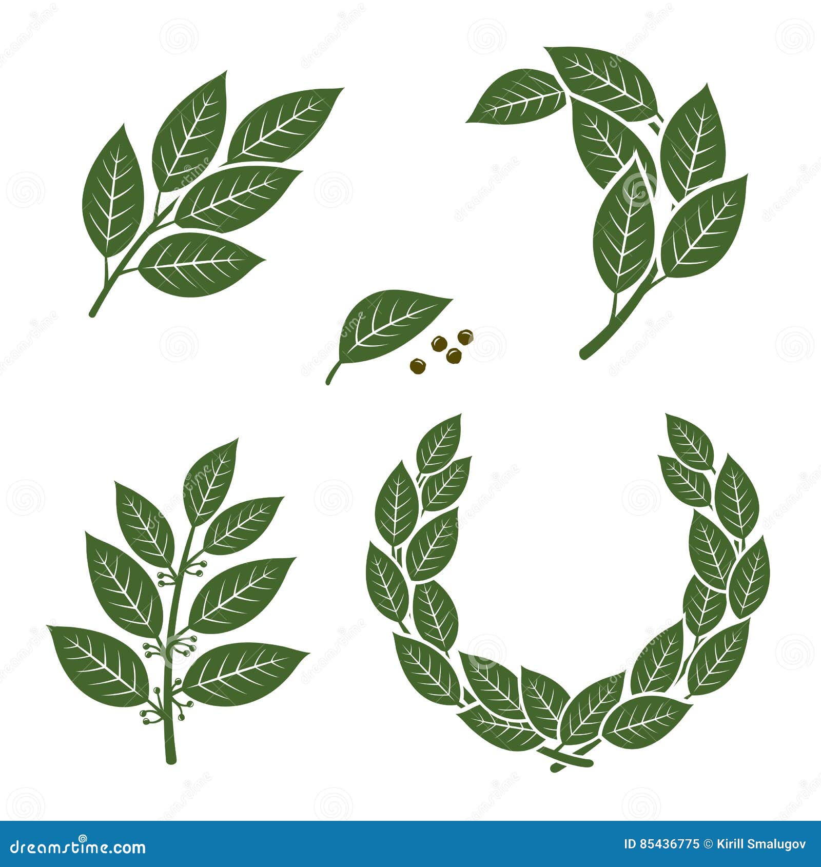 Bay leaf set. Vector stock vector. Illustration of decoration - 85436775