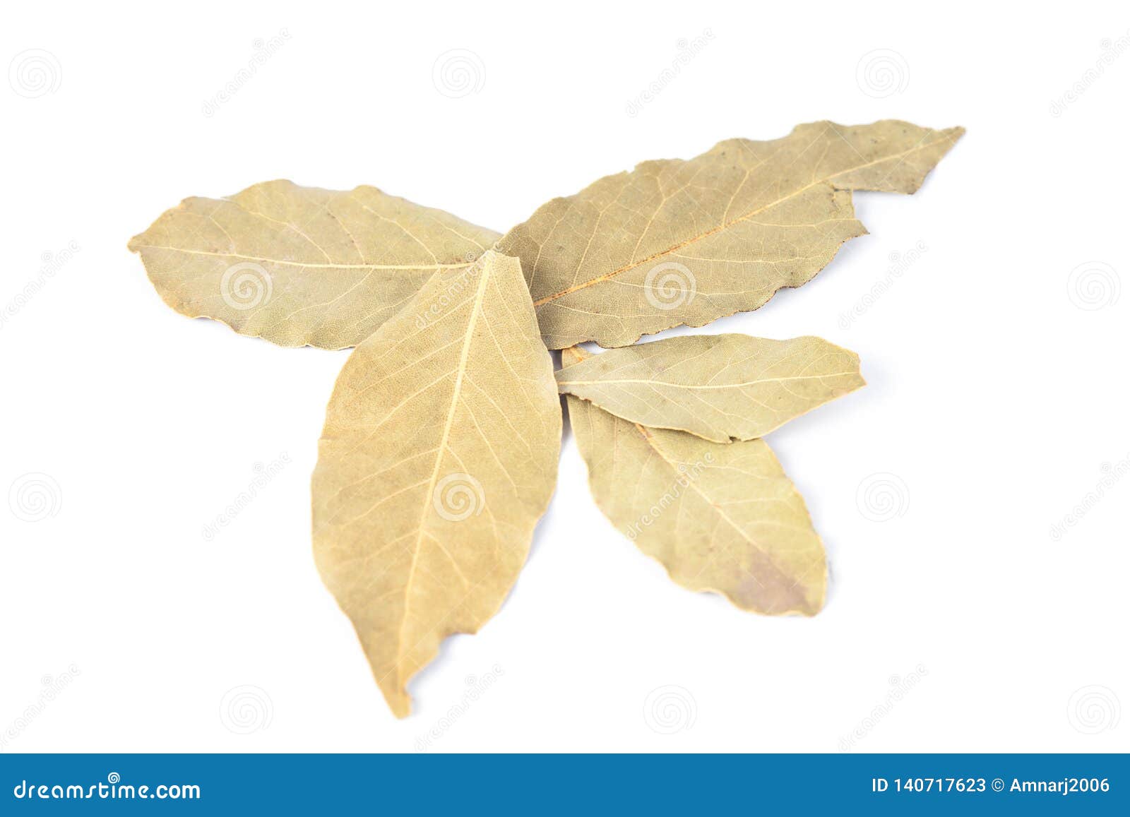 Bay Leave Herb on White Background Stock Image - Image of aromatic ...