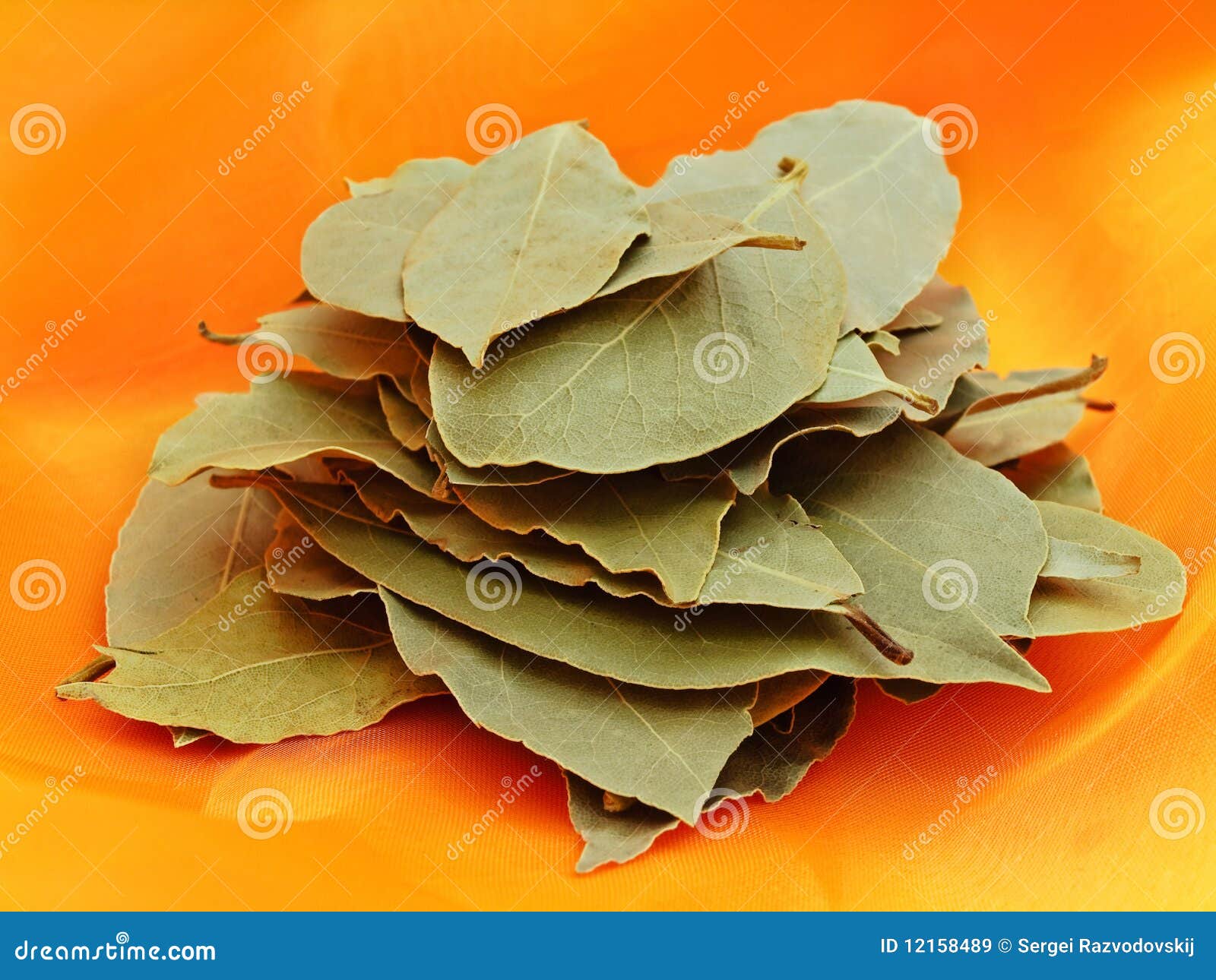 Tectile Background Photos - Free & Royalty-Free Stock Photos from ...